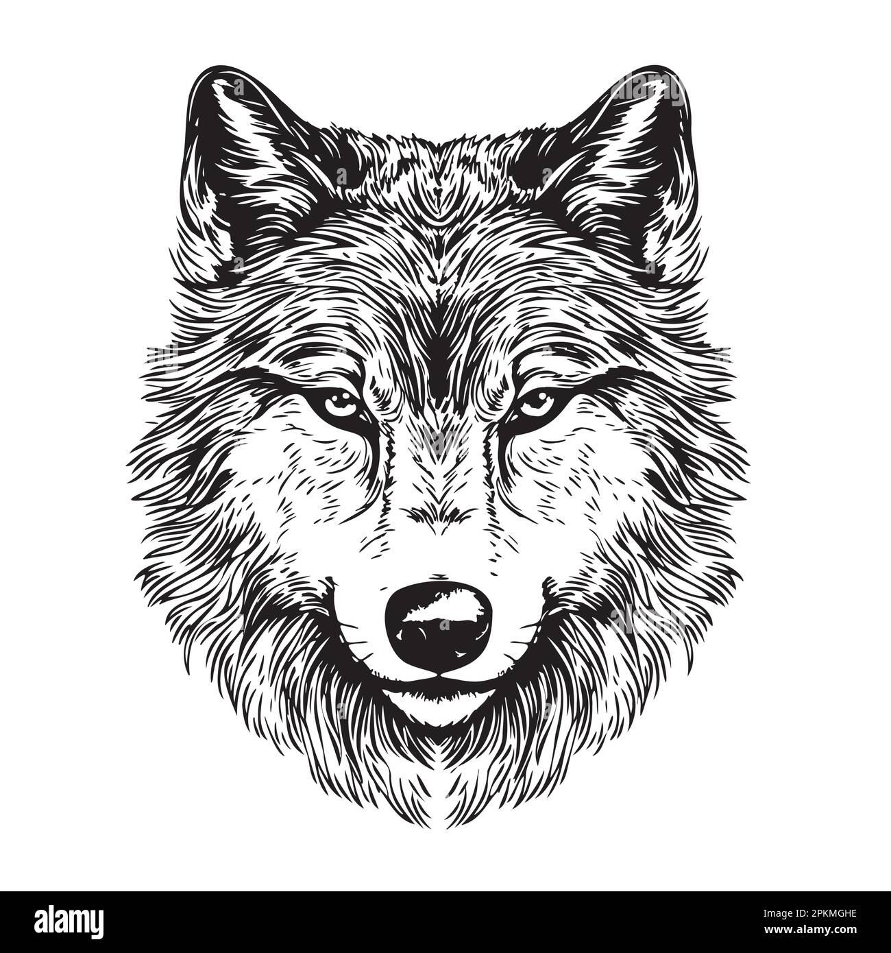 Dessin de tête de loup dessiné à la main dans une illustration de style ...