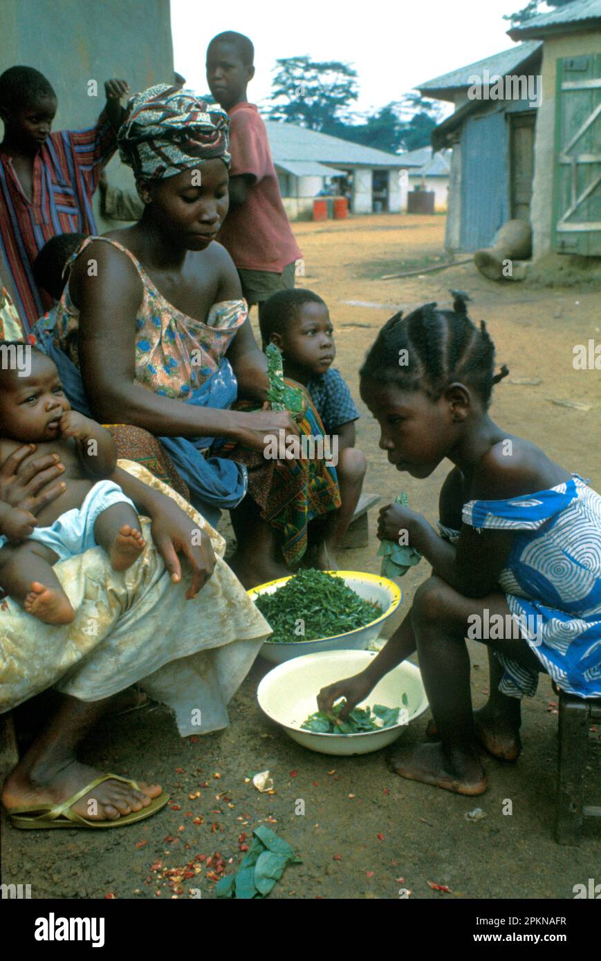 Les femmes et les filles préparent de la nourriture dans un village de Kpelle. Les Kpelle sont ...