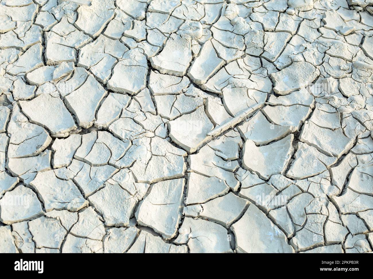 Texture, arrière-plan de la terre fissurée sèche. Des fissures ...