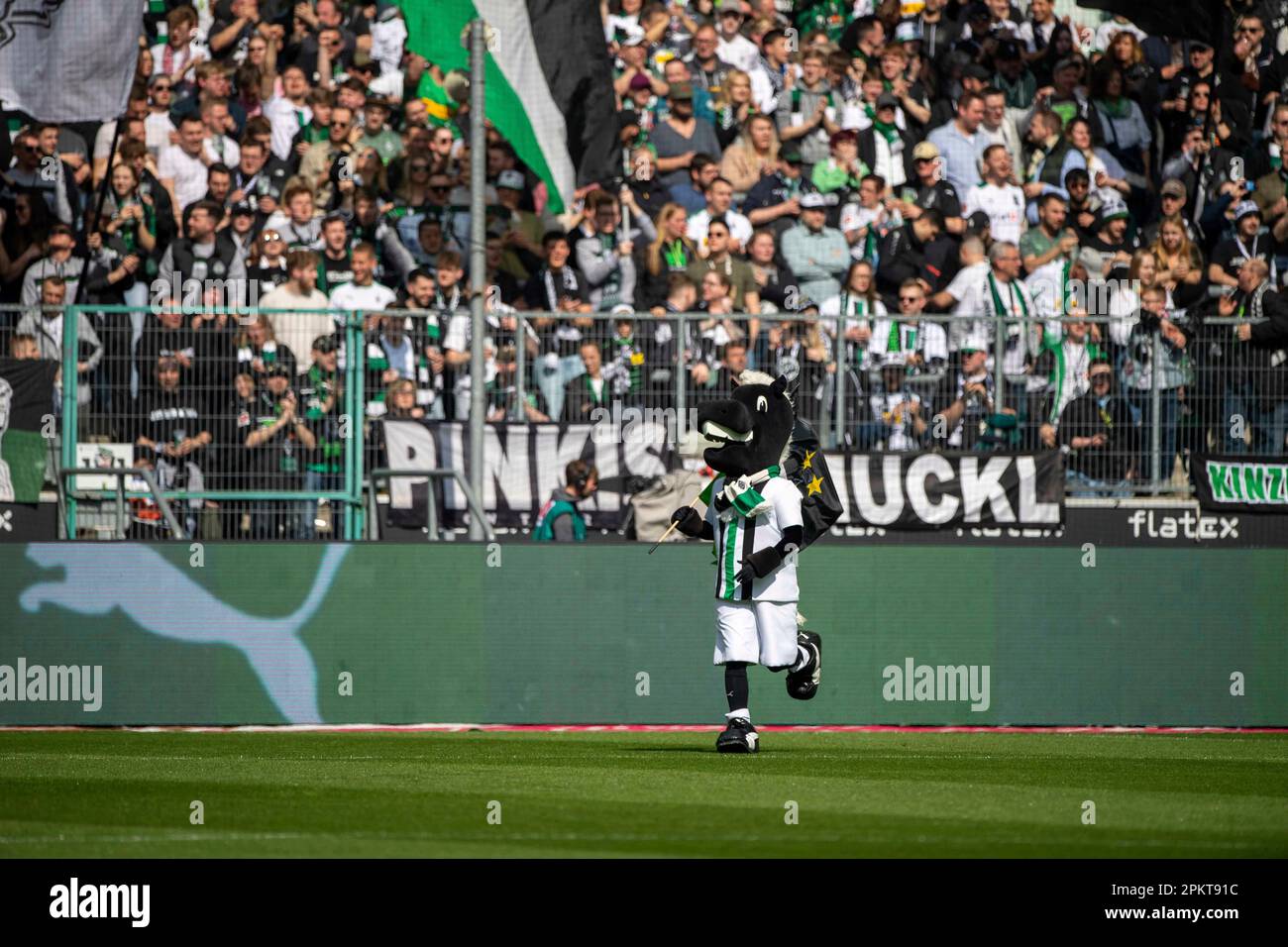 Borussia Monchengladbach fans dans la courbe nord, jubilation ...