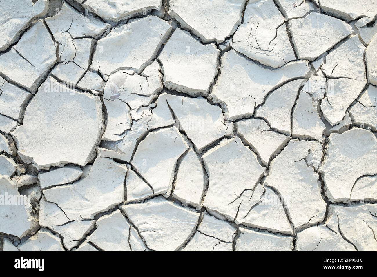Texture, arrière-plan de la terre fissurée sèche. Des fissures ...