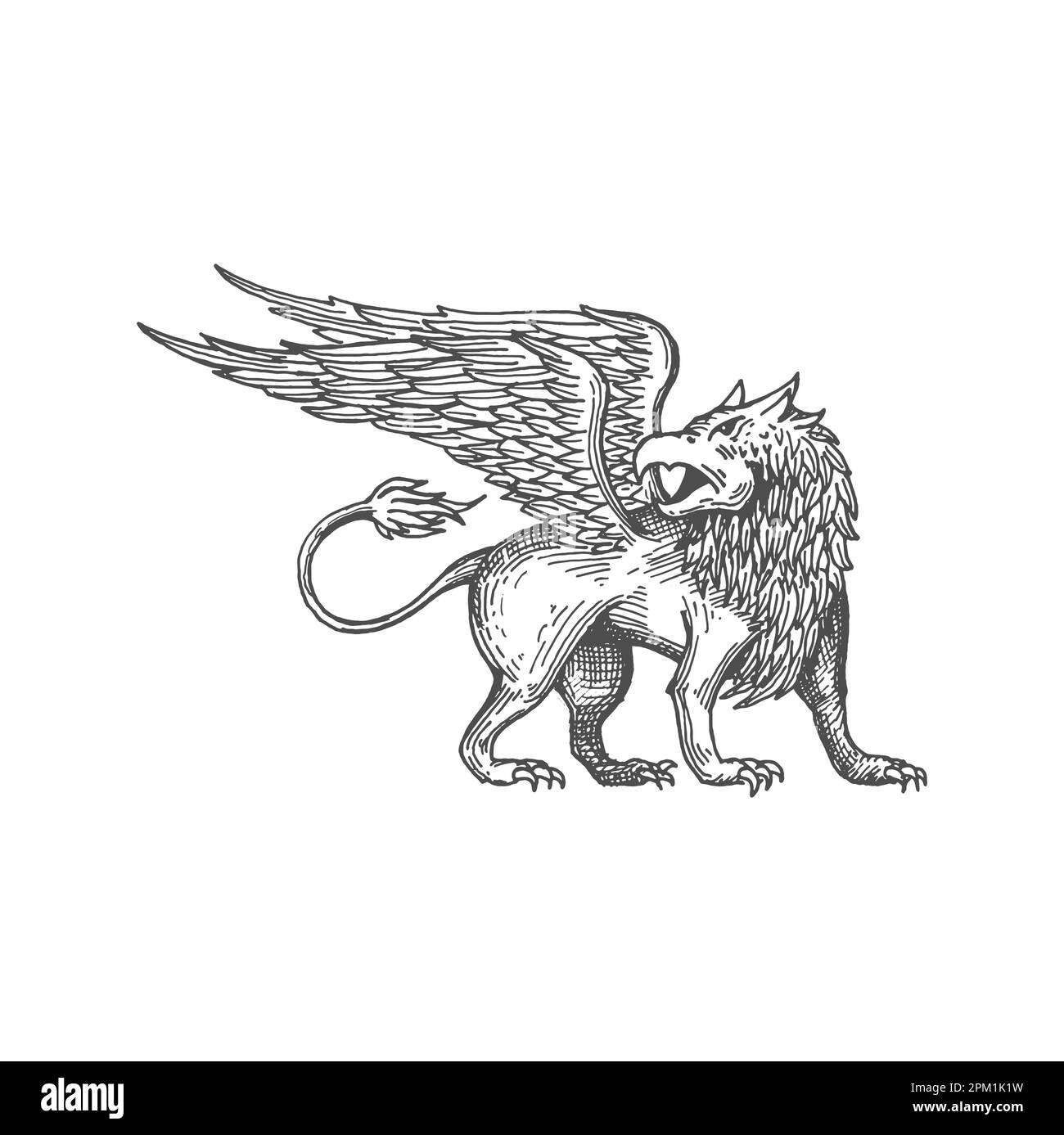 Créature mythologique Griffin avec tête d'aigle, corps de lion et ailes ...