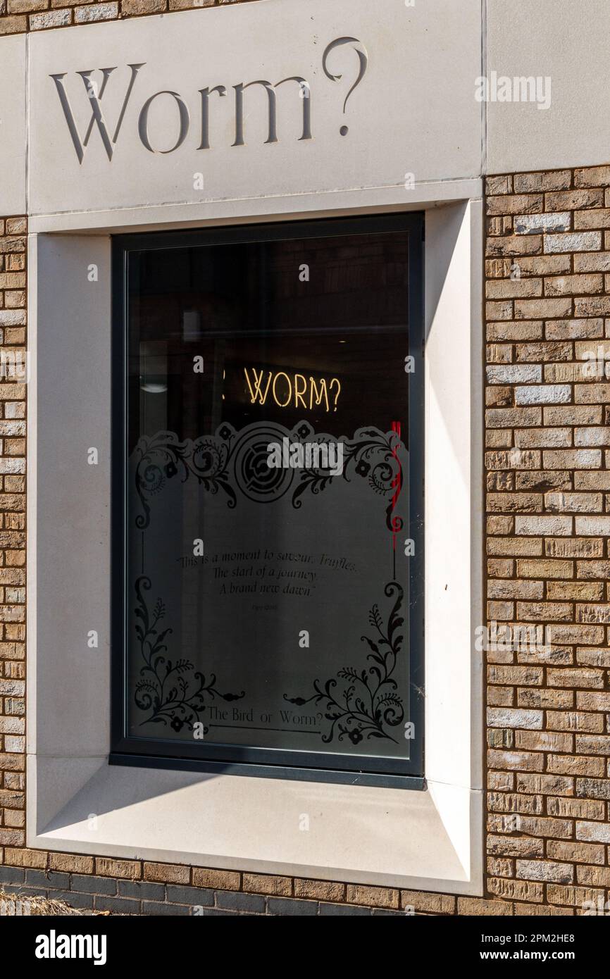 Une fenêtre de l'oiseau ou du millepertuis? Pub à Cambridge, Royaume ...