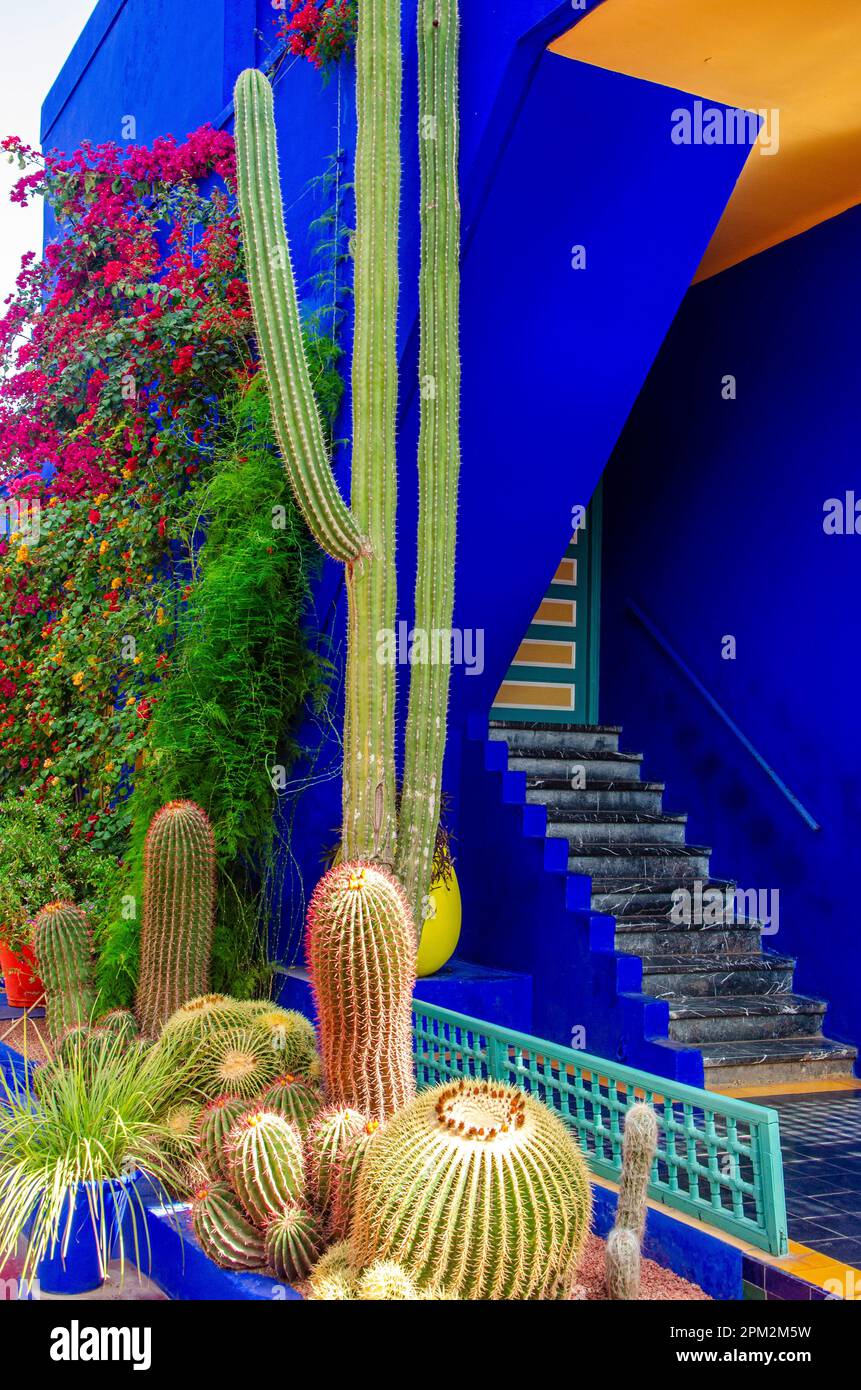 Plantes et éléments d'ameublement, architecture, couleurs vives, murs ...
