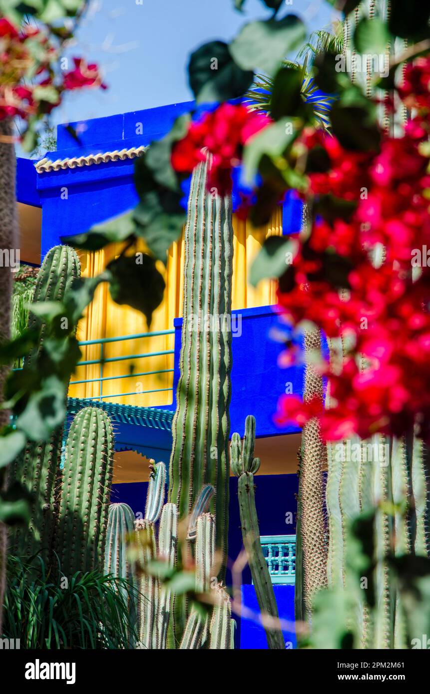 Plantes et éléments d'ameublement, architecture, couleurs vives, murs ...