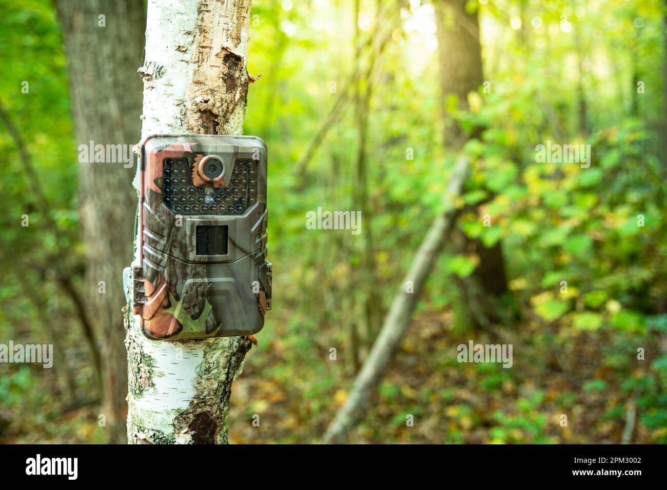 Infrared camera trap Banque de photographies et d’images à haute ...