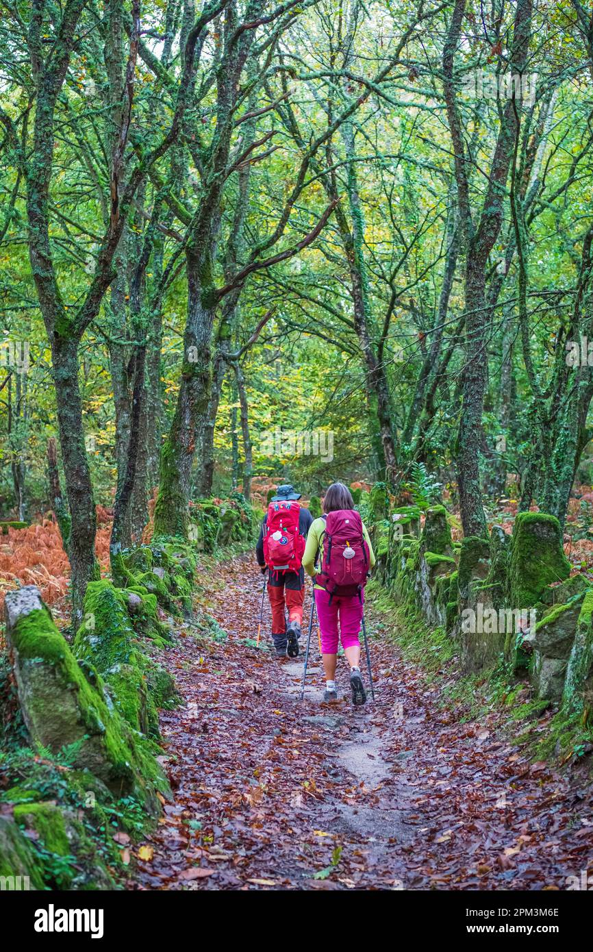 Espagne, Galice, Xunqueira de Ambia, randonnée sur la via de la Plata via Ourense ou Camino ...