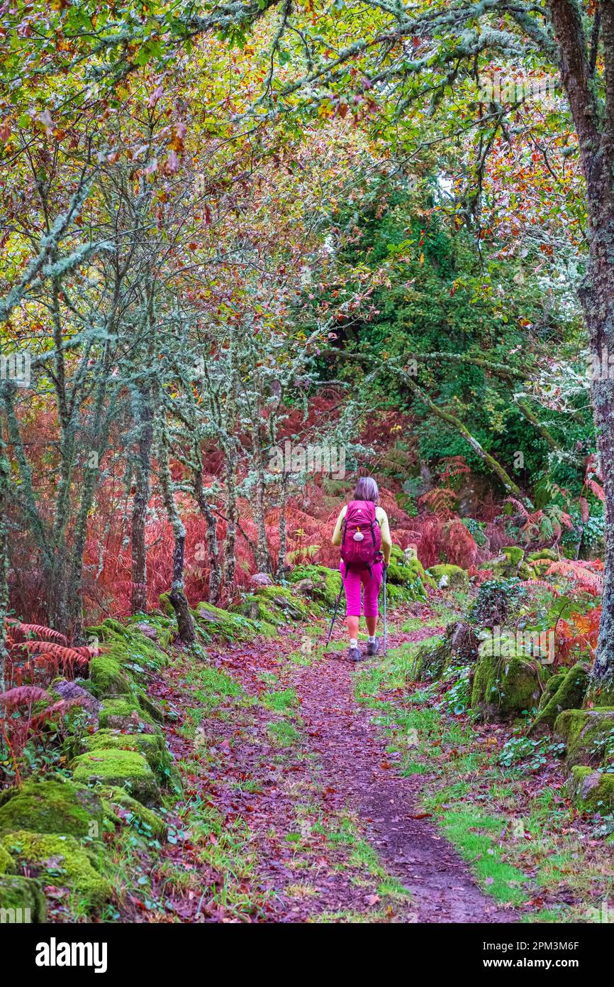 Espagne, Galice, Xunqueira de Ambia, randonnée sur la via de la Plata via Ourense ou Camino ...