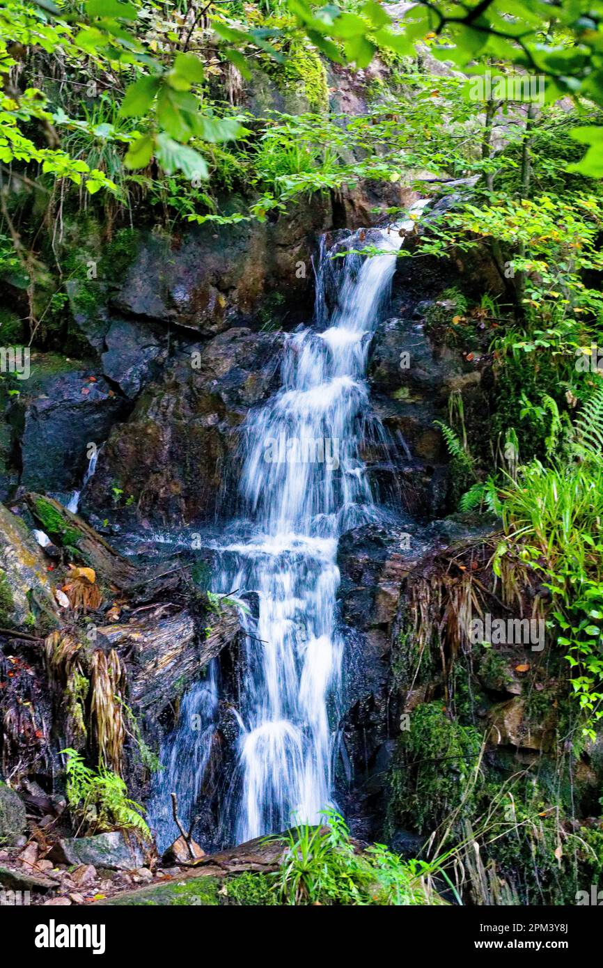 France, Vosges, Tendon, site des Cascades de Tendon, la Grande Cascade ...