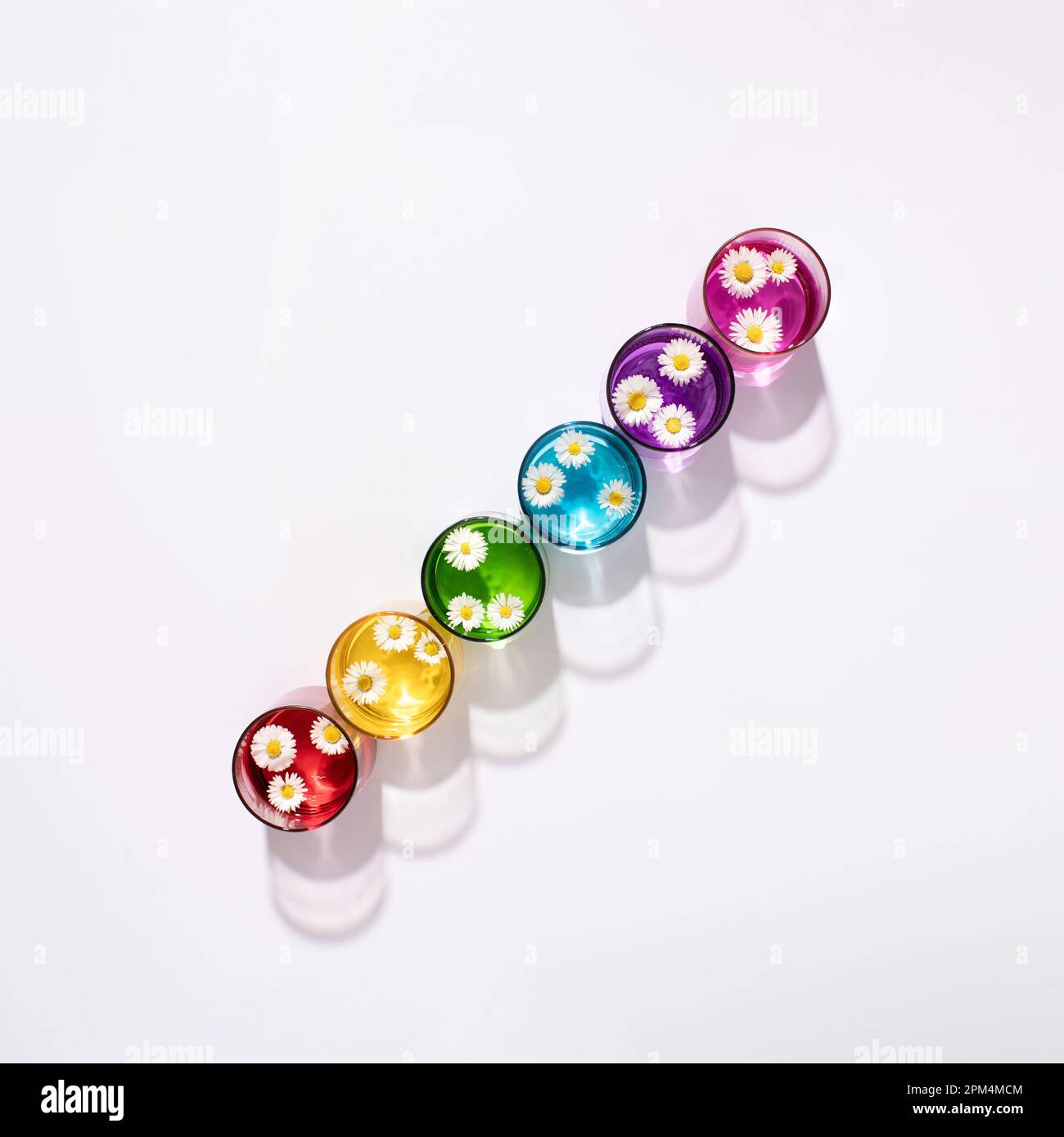 Verres à boire colorés en arc-en-ciel remplis de fleurs de Marguerite ...