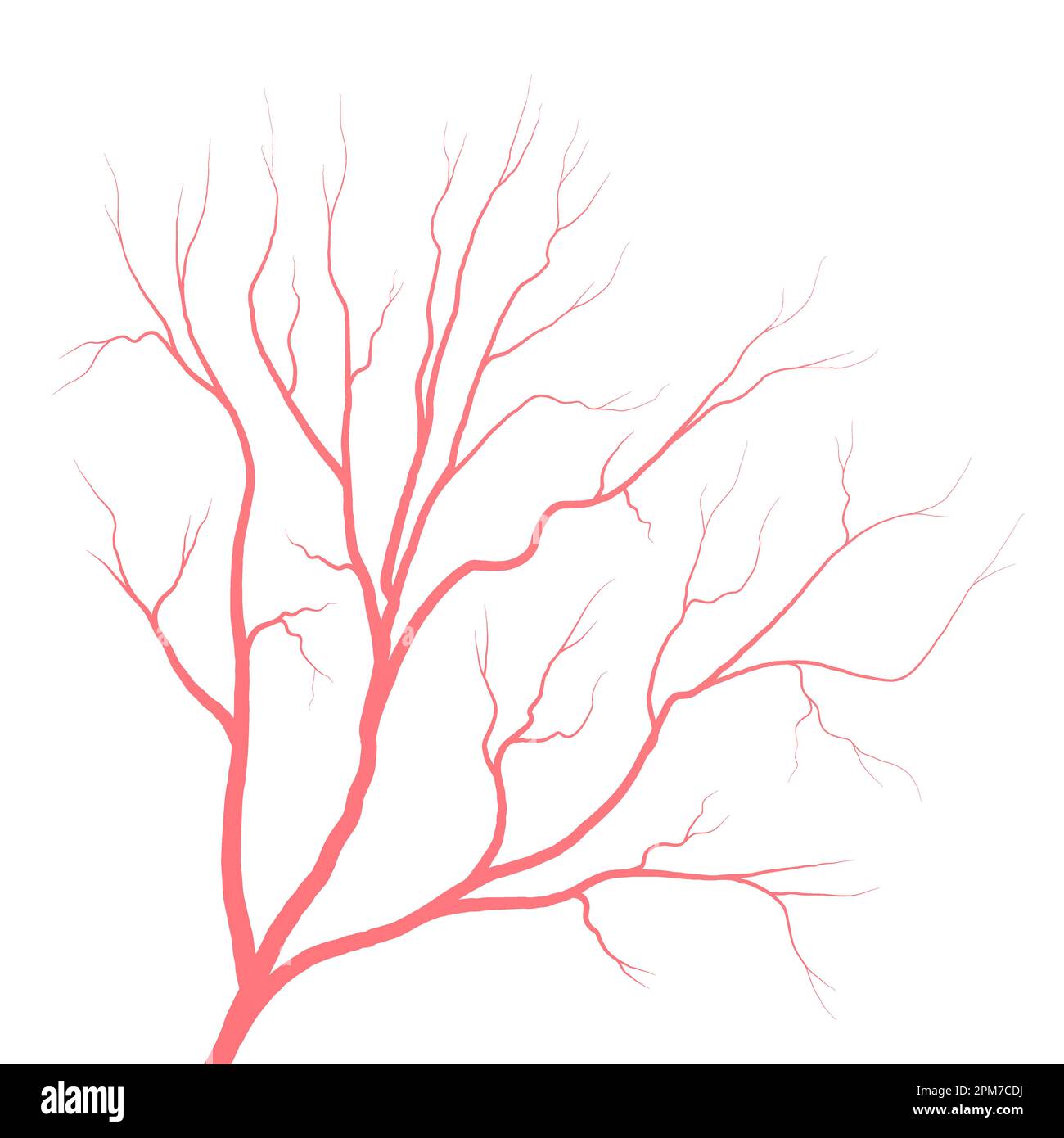 Yeux humains veines de sang vaisseaux silhouettes illustration ...