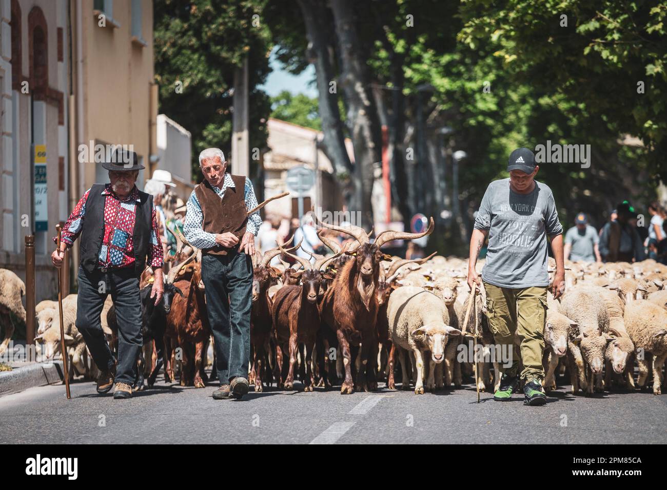 Bergers et troupeaux Banque de photographies et d’images à haute résolution - Alamy