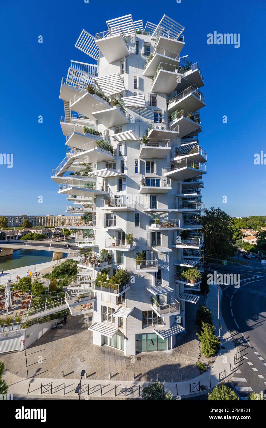 France, Hérault, Montpellier, l'arbre blanc par les architectes Sou ...