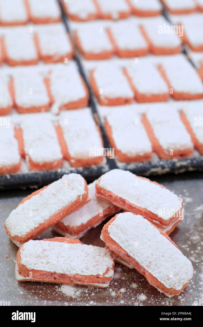 France, Marne, Reims, Maison Fossier (Living Heritage Company), biscuit ...