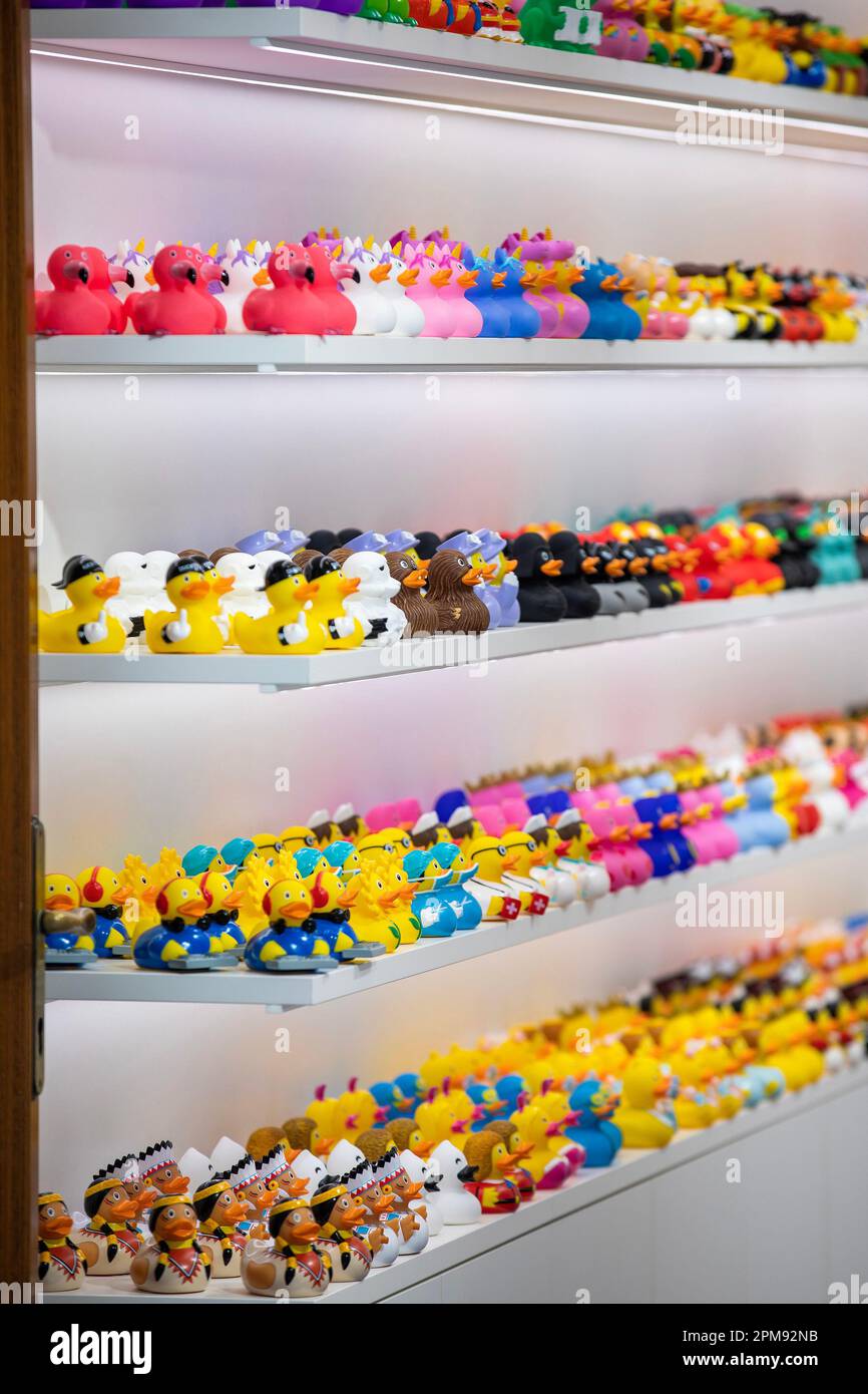 Canards en caoutchouc vus dans le nouveau magasin ouvert à Pula ...