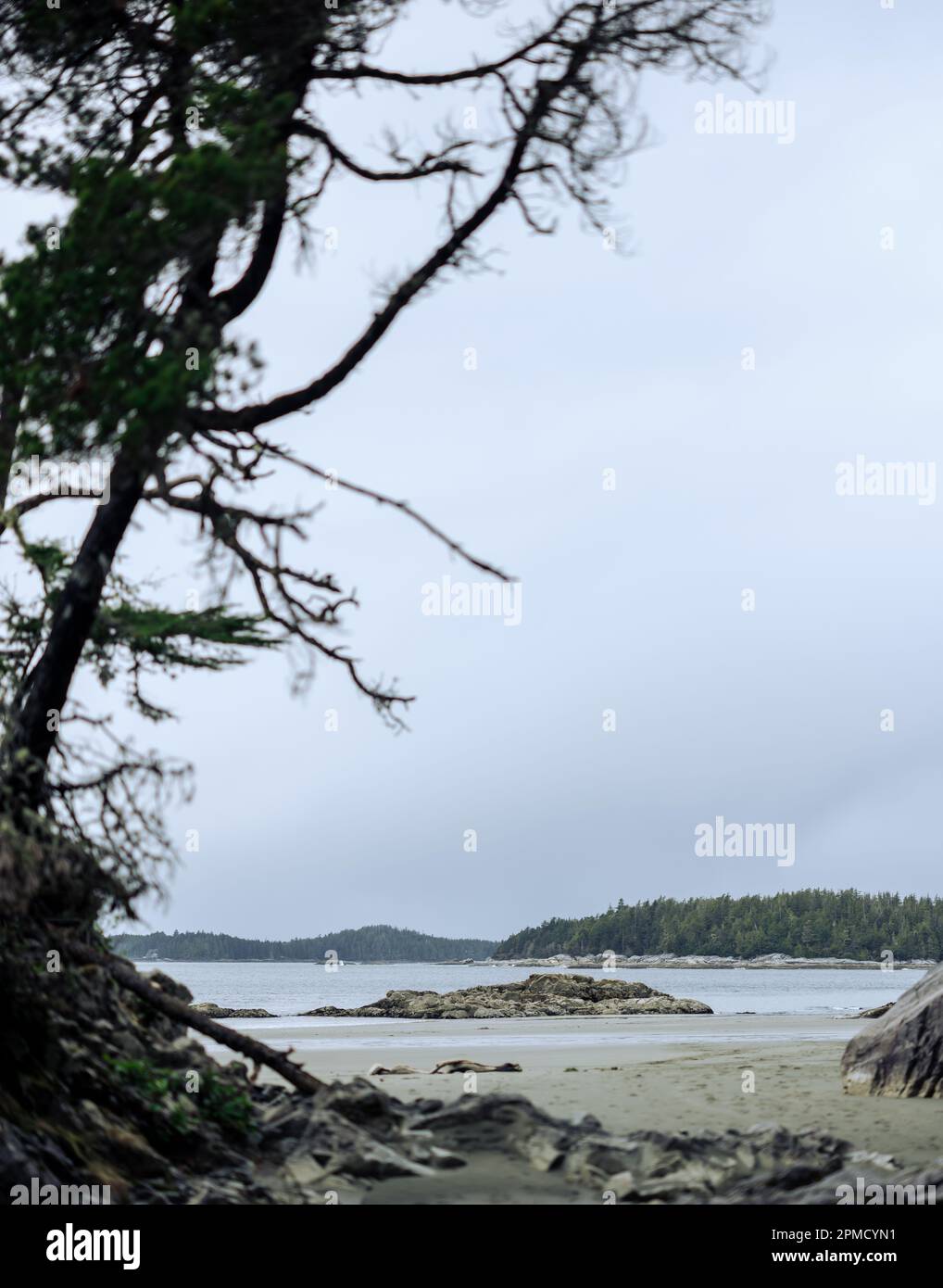 Situé sur la côte ouest de l'île de Vancouver, Tofino devient une ...
