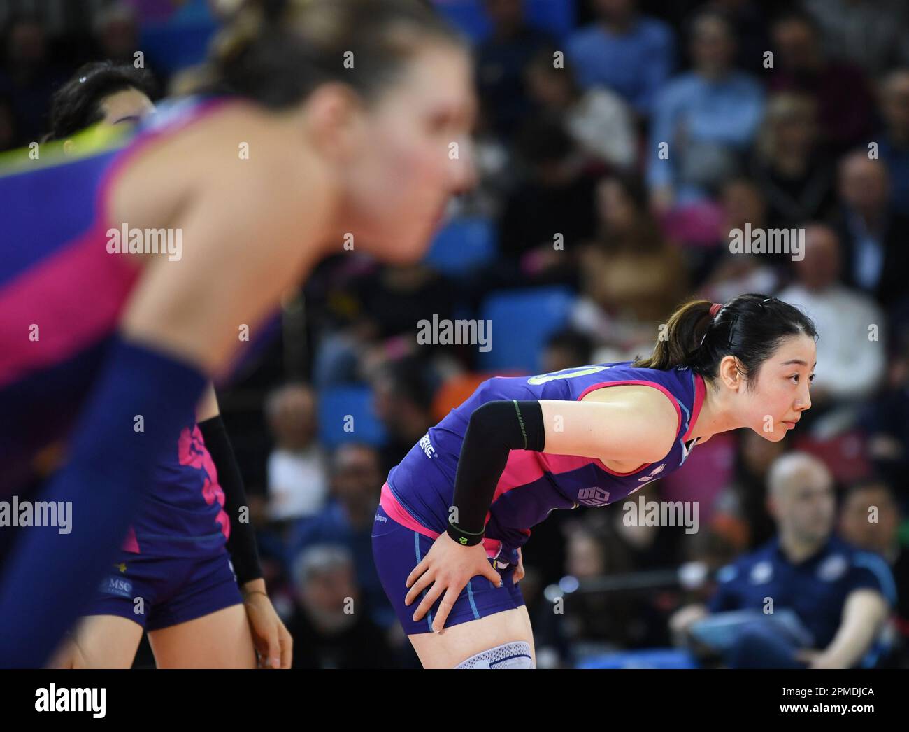 Volleyball roumain Banque de photographies et d’images à haute ...