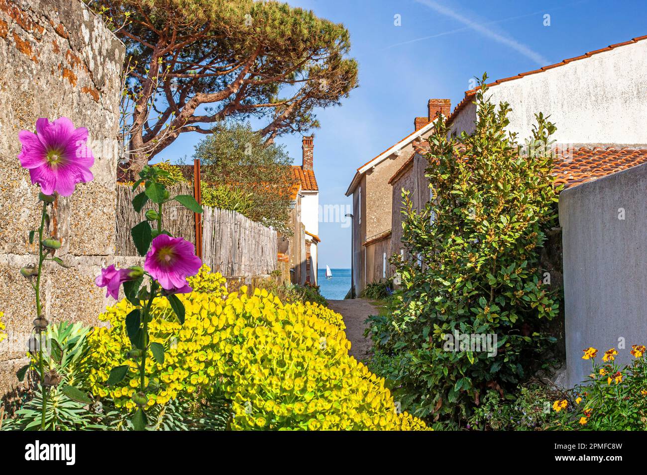 Le Vieil Vendee Banque De Photographies Et Dimages à Haute Résolution