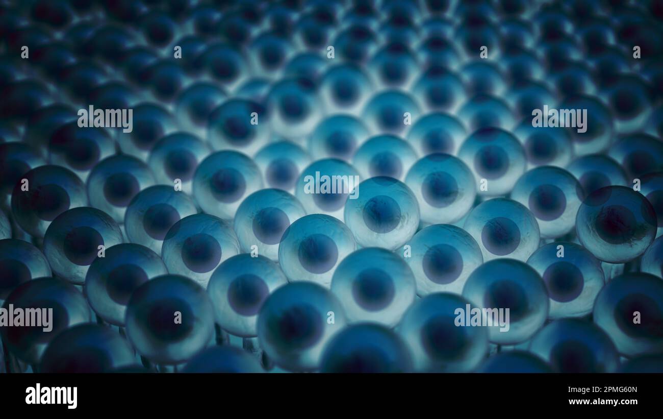 Cellules de biologie Banque de photographies et d’images à haute ...