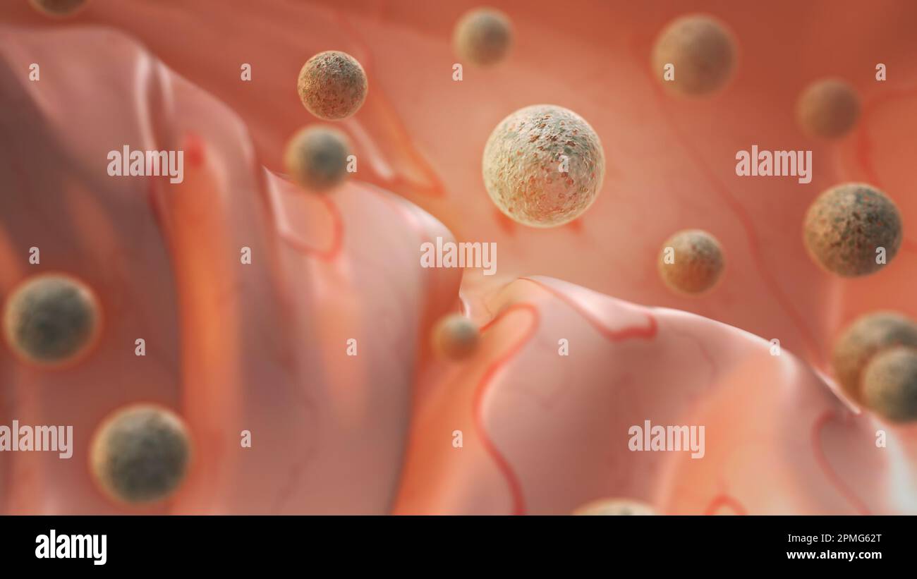 Cellules de biologie Banque de photographies et d’images à haute ...