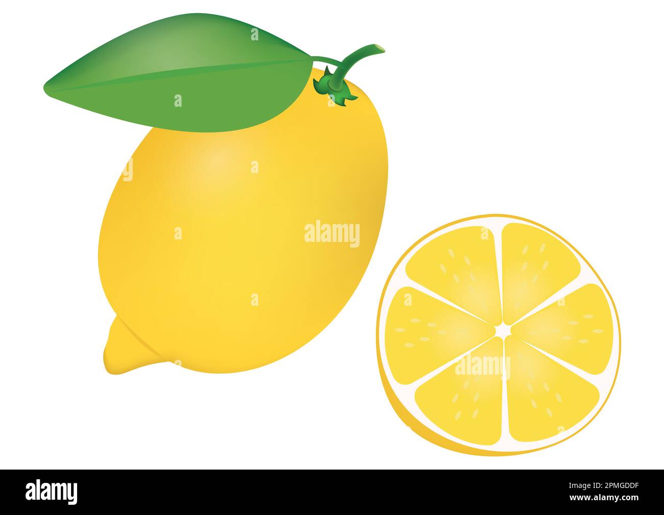 Jardin citronnier Banque d'images vectorielles - Alamy