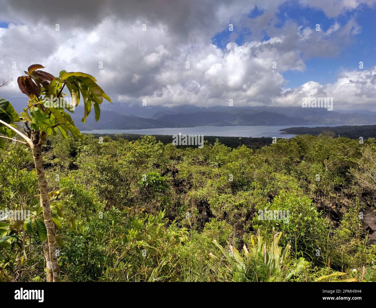 Volcan du lac arenal Banque de photographies et d’images à haute ...