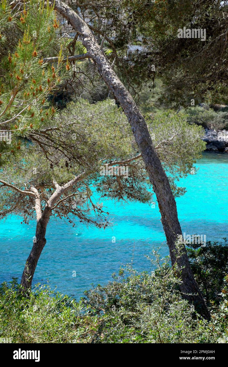 Profondeurs marine Banque de photographies et d’images à haute résolution - Alamy