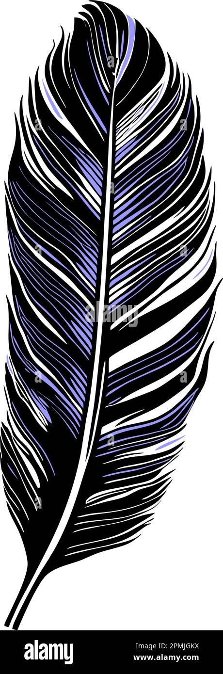 dessin graphique simple plume d'oiseau noir et bleu, croquis, logo ...