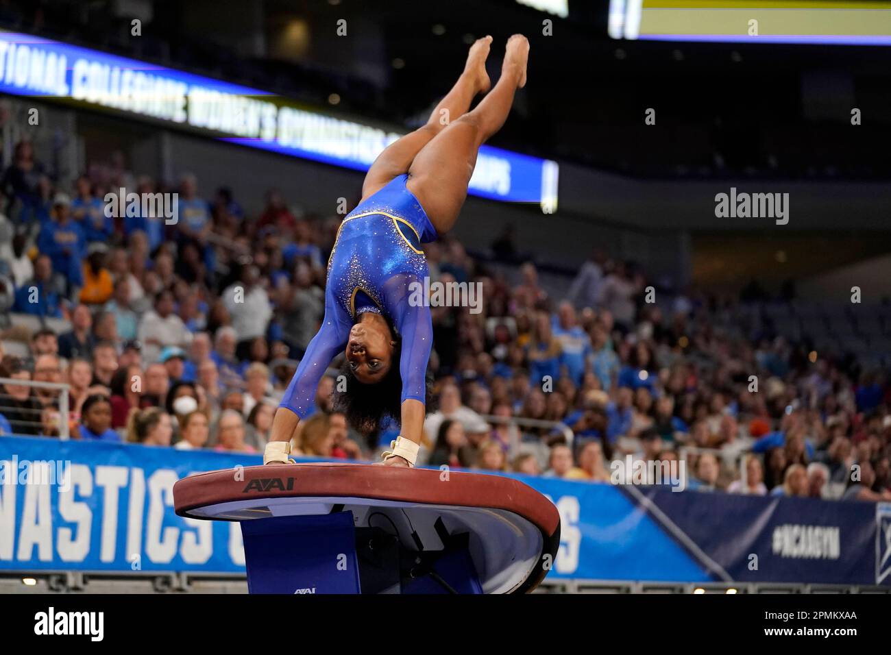 UCLA's Chae Campbell competes in the vault during the semifinals of the ...
