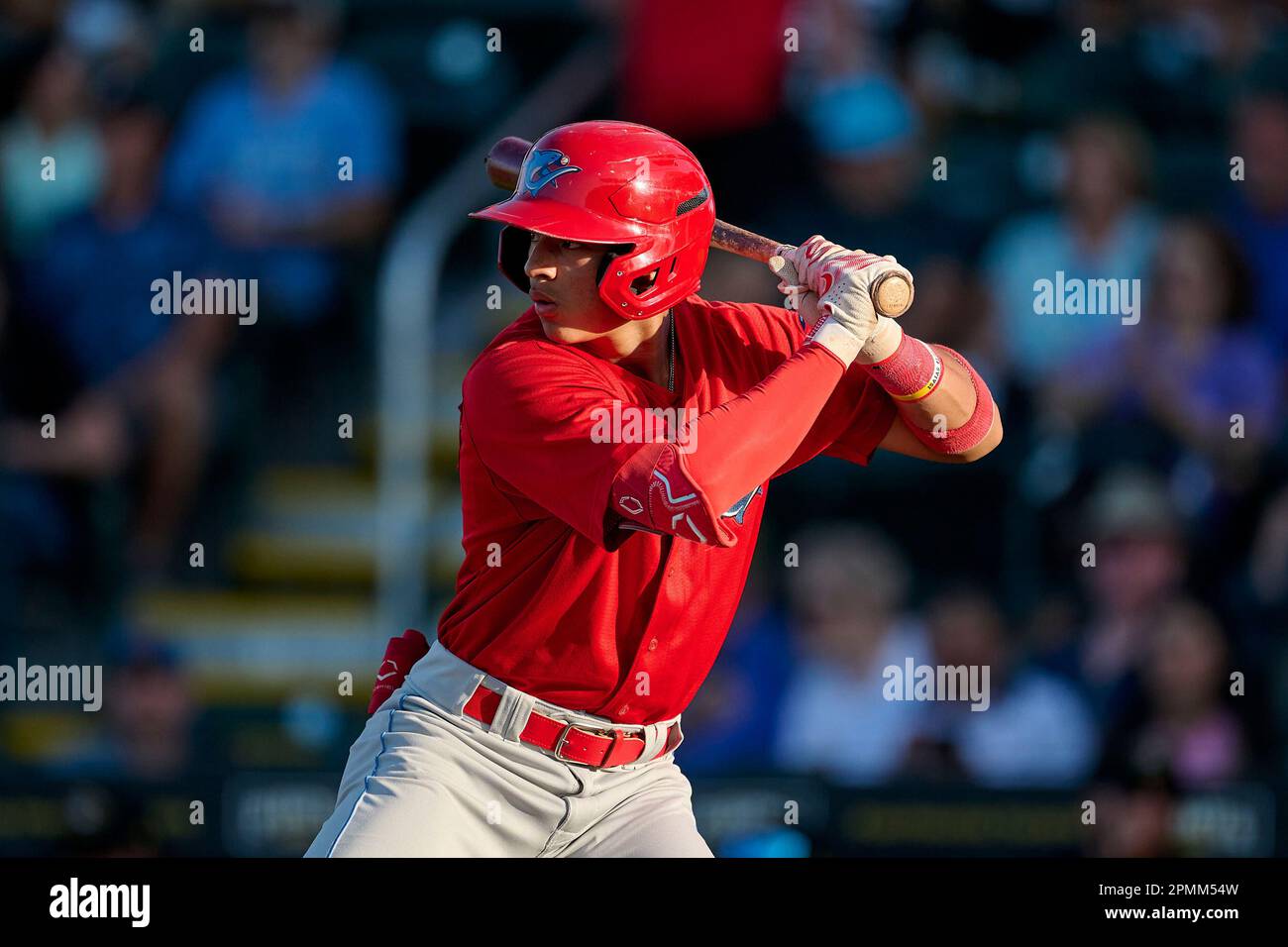 Clearwater Threshers Bryan Rincon (5) bats during a MiLB Florida State ...