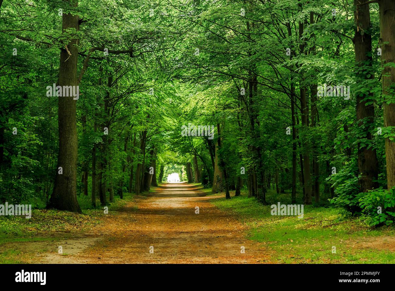 Le chateau de chantilly Banque de photographies et d’images à haute ...