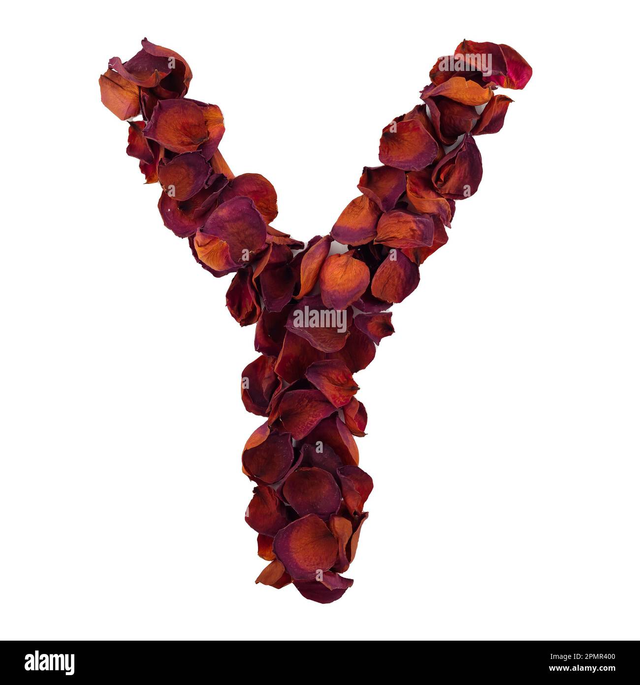 Alphabet letter nature y Banque de photographies et d’images à haute ...