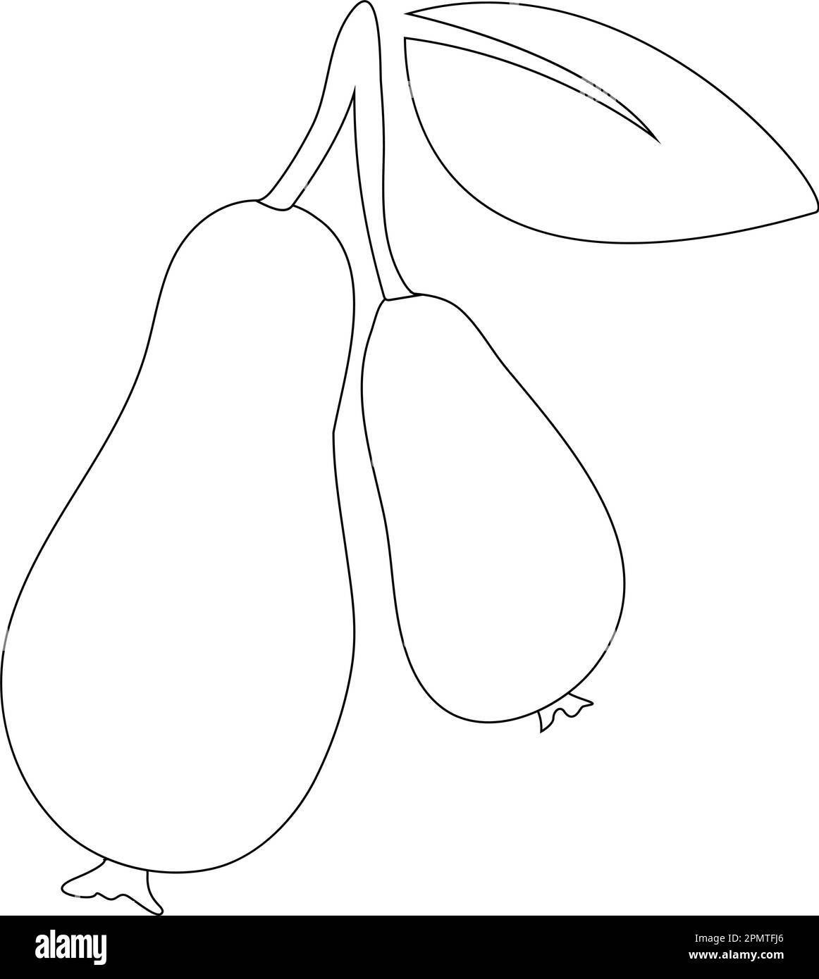 Goyave mûre Banque d'images noir et blanc - Alamy