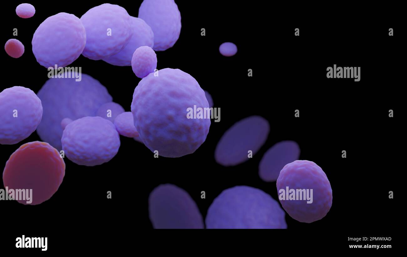 Cellules de levure de Candida auris, 3D illustration. Les champignons ...