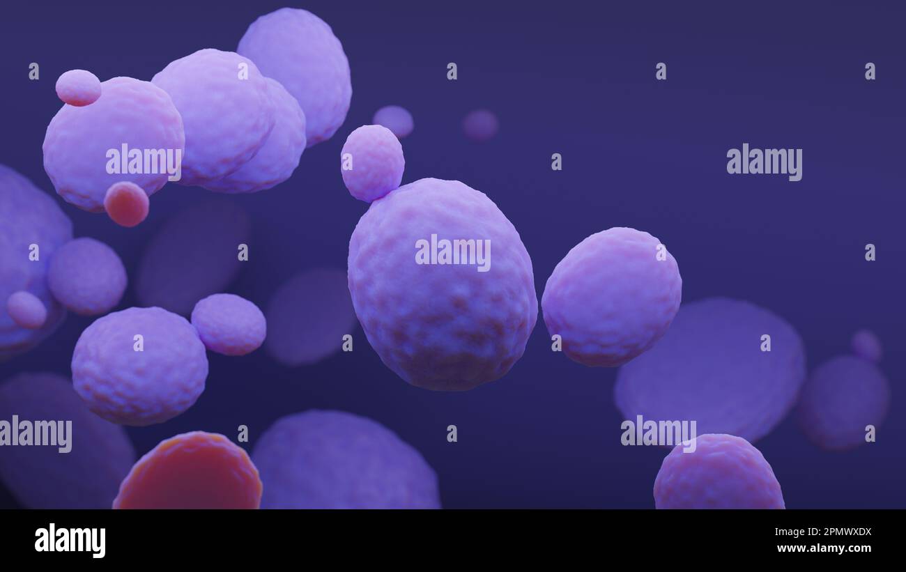 Cellules de levure de Candida auris, 3D illustration. Les champignons ...