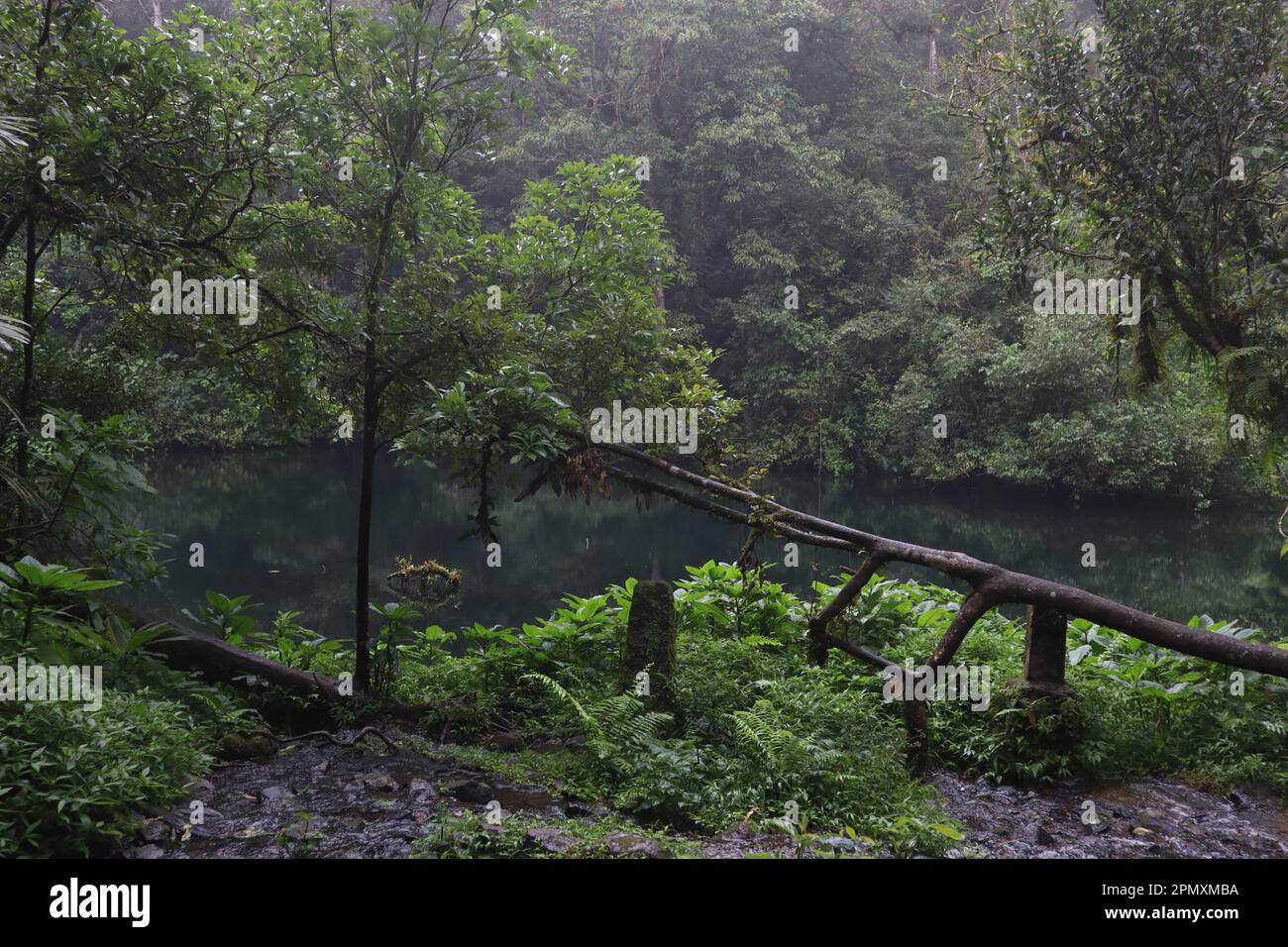 Gunung gede pangrango parc national Banque de photographies et d’images ...