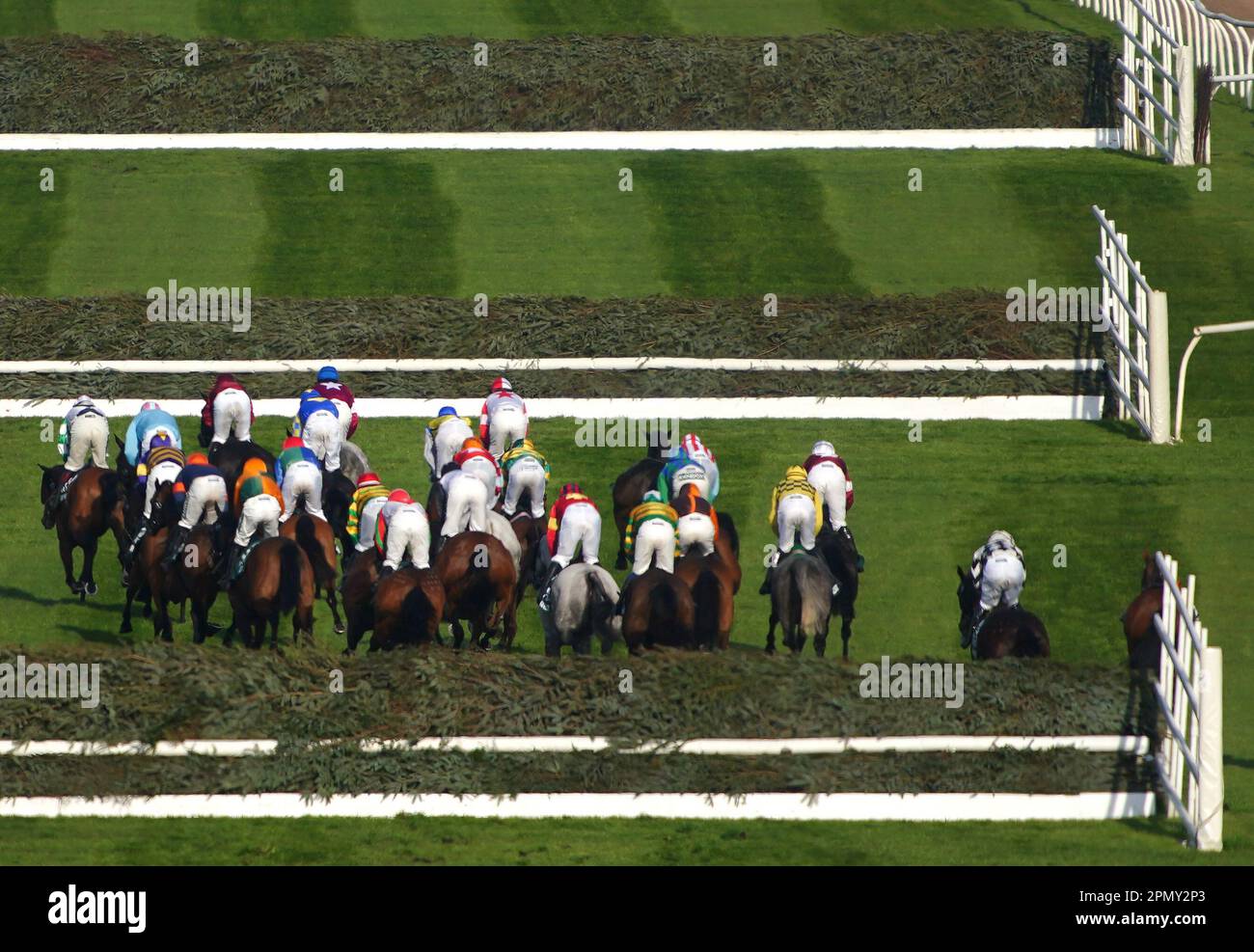 Coureurs et cavaliers dans le Randox Grand National handicap Chase ...