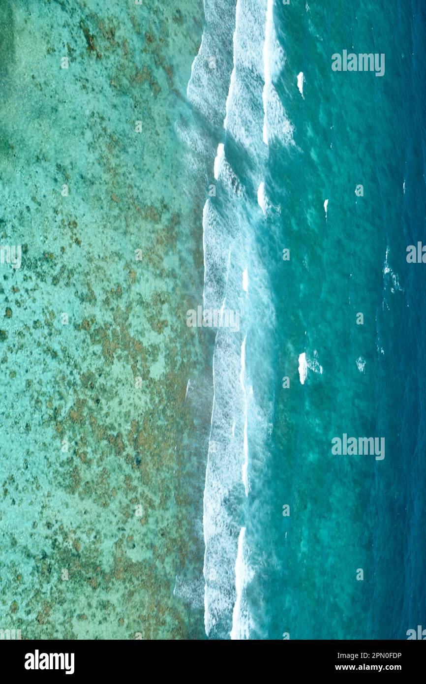 Vue verticale du système de la barrière de corail méso-américaine au ...