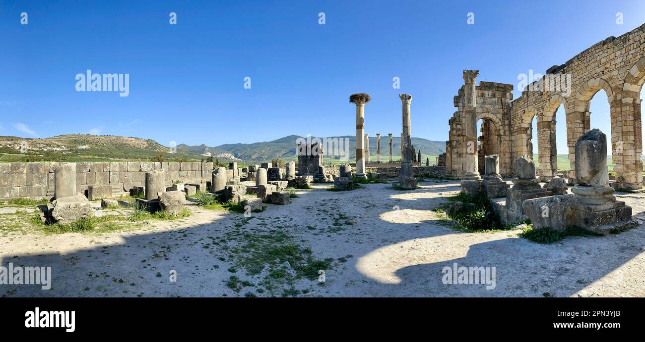 Maroc, Afrique : les vestiges de la basilique romaine de Volubilis, le ...