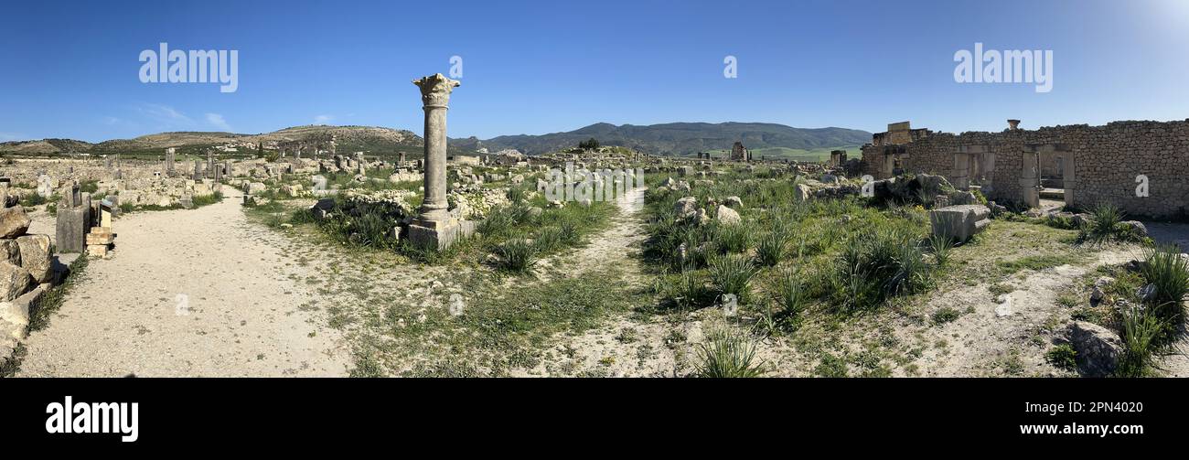 Maroc, Afrique : vue panoramique sur les vestiges de Volubilis, le site ...