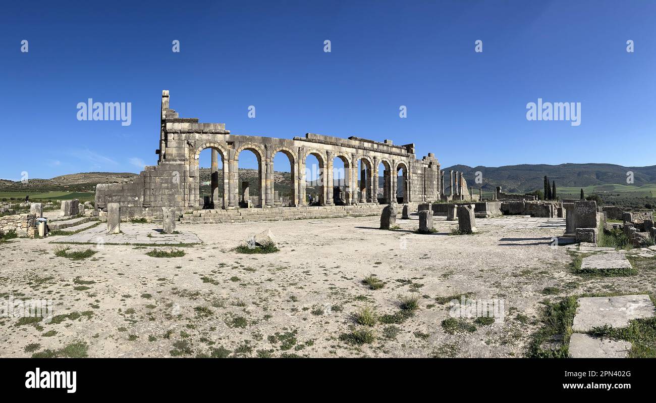 Maroc, Afrique : les vestiges de la basilique romaine de Volubilis, le ...