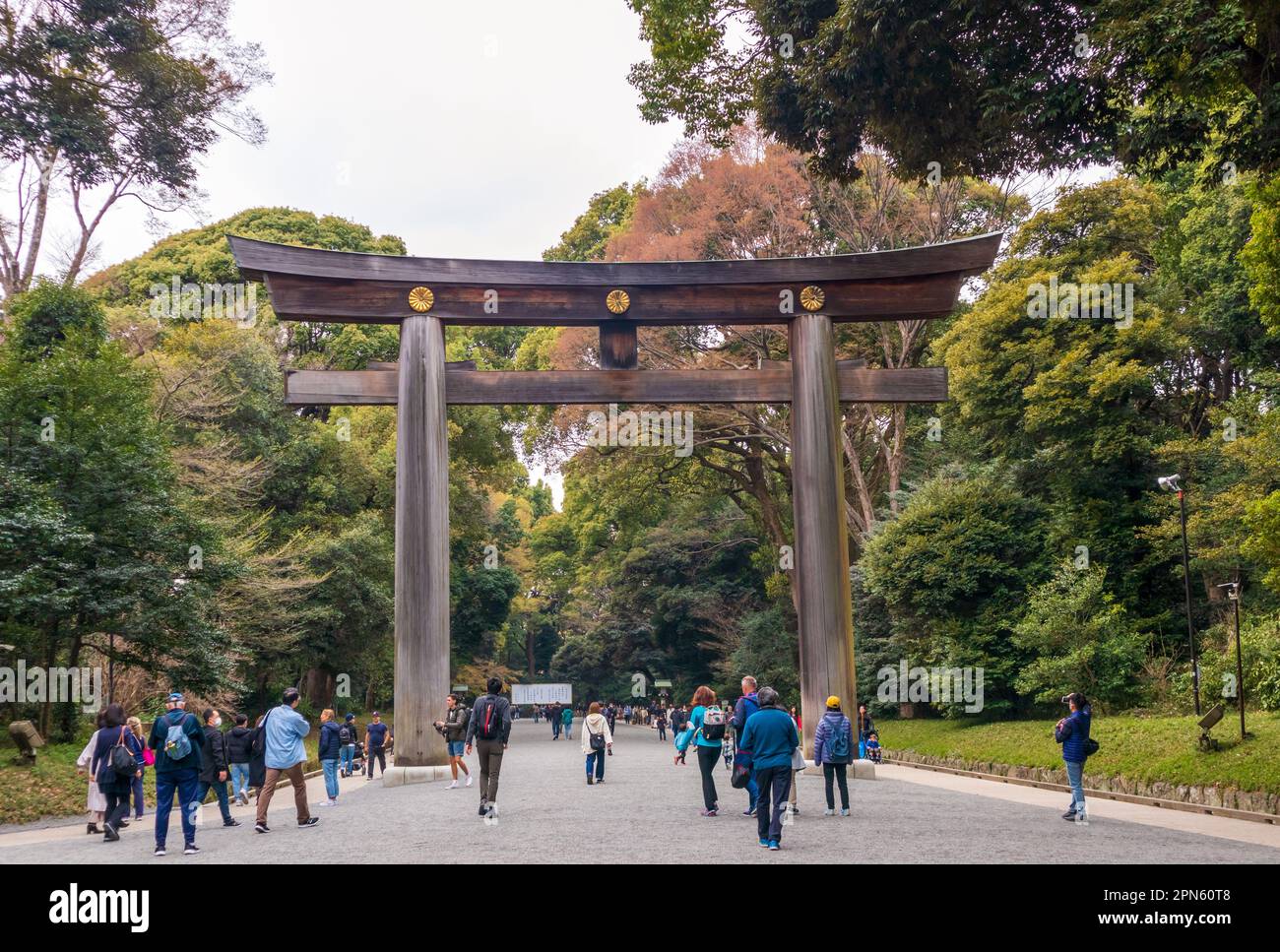 Tokyo, Japon - 21 mars 2023 : Meiji Jingu, temple shinto dédié aux ...
