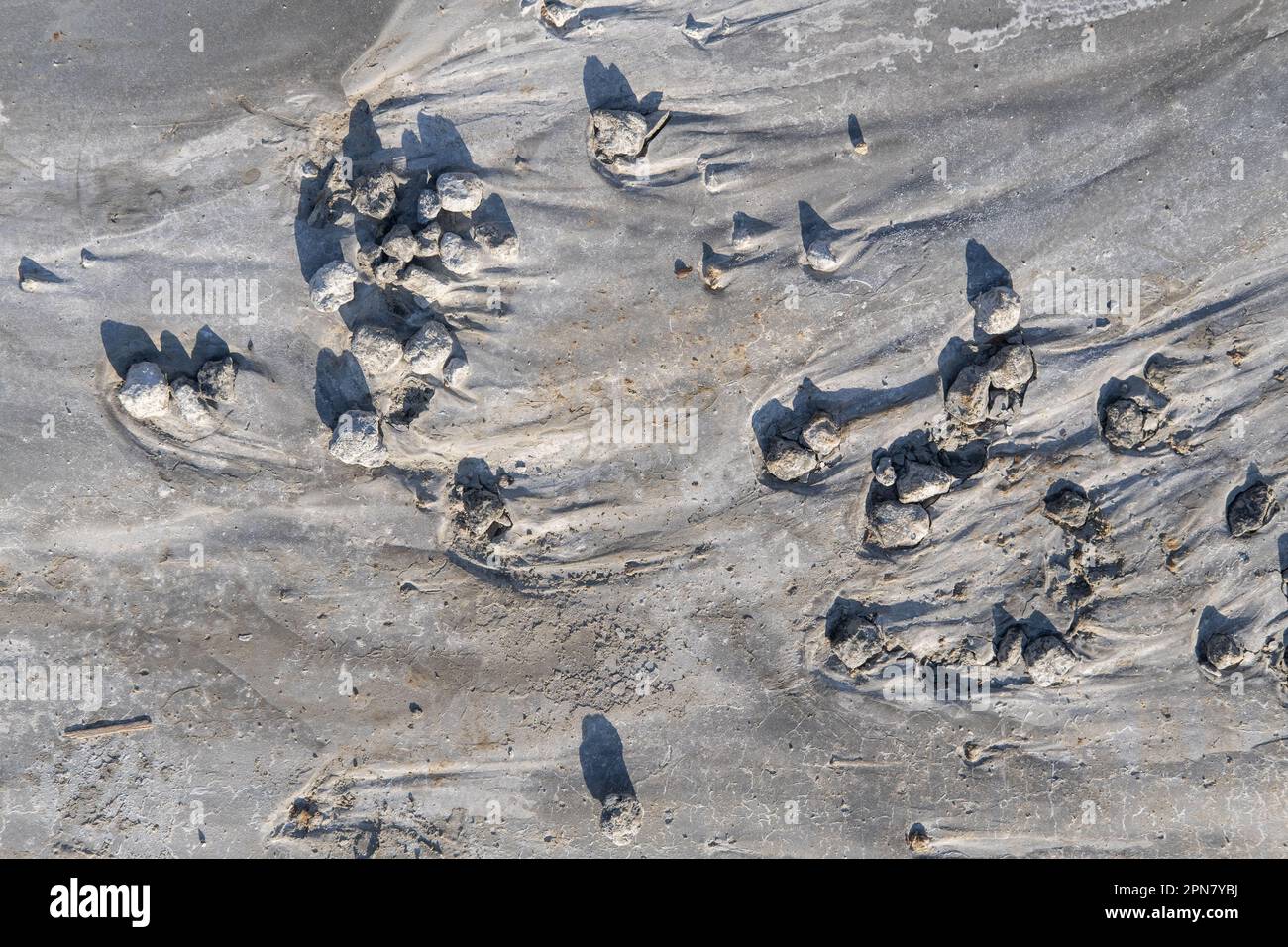 Fond gris de ciment fissuré, mortier solidifié entrecoupé de grains de ...