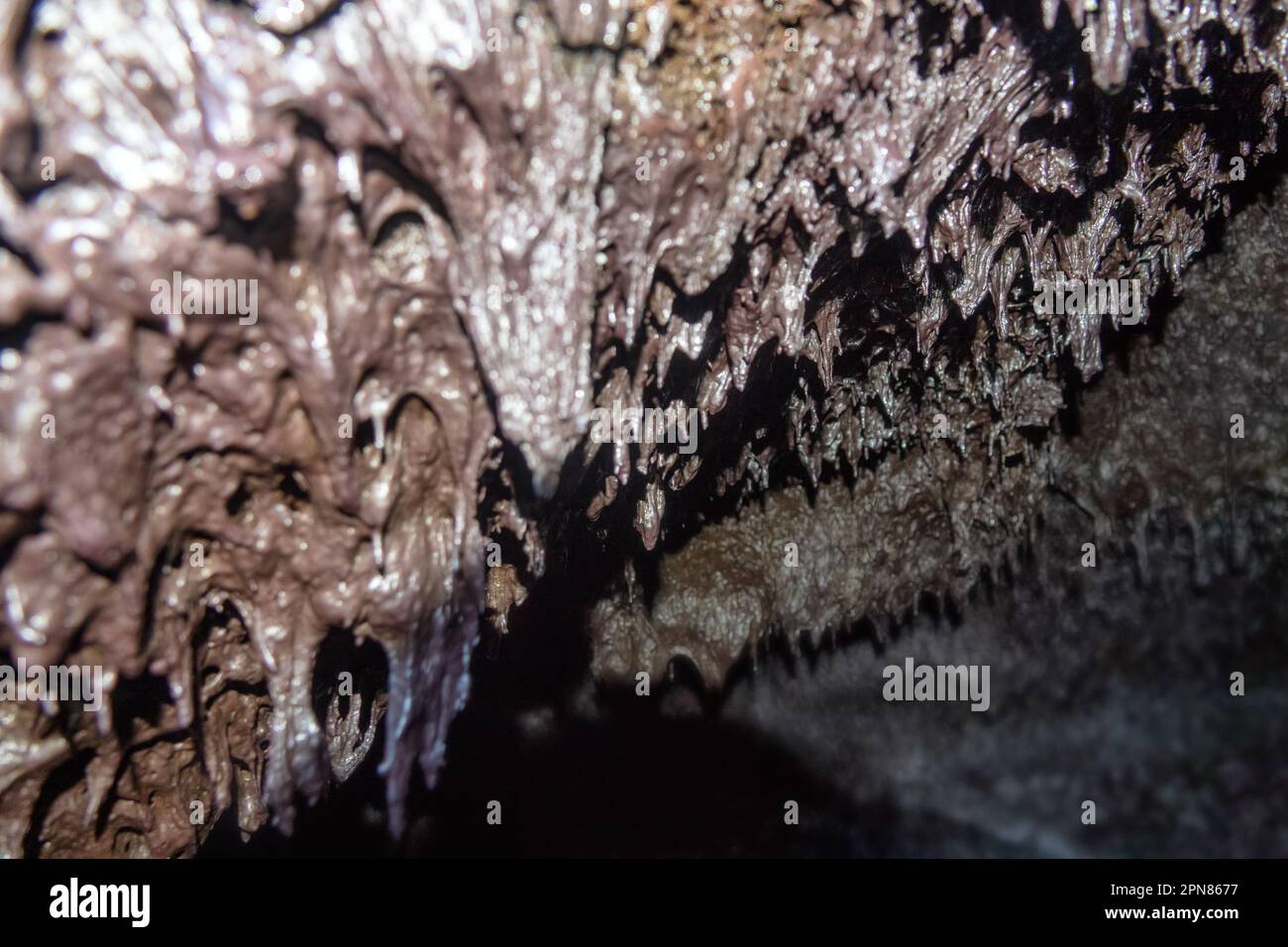 Latite rock Banque de photographies et d’images à haute résolution - Alamy