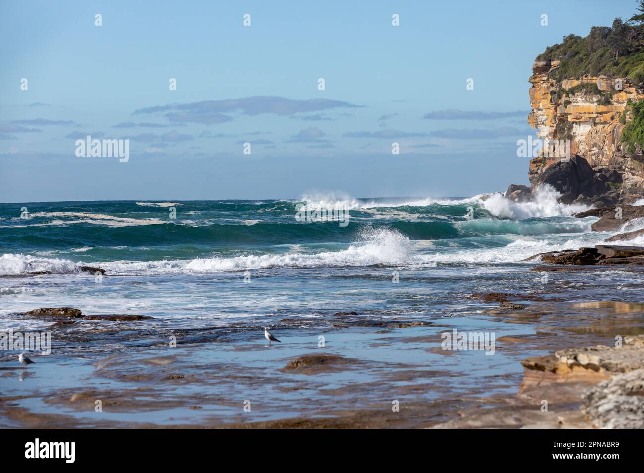 Dee why beach Banque de photographies et d’images à haute résolution ...