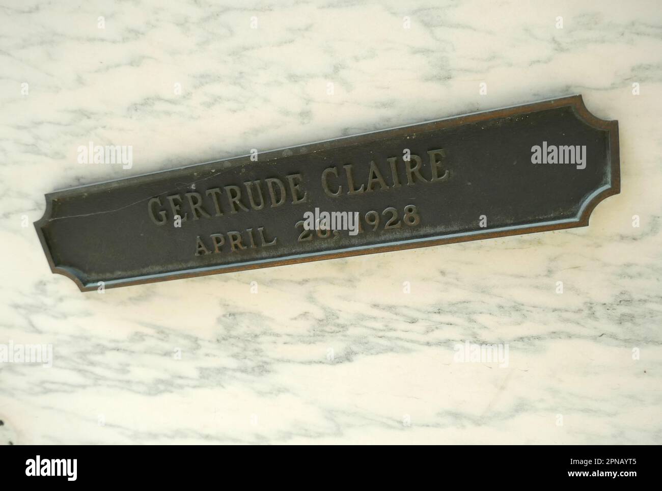 Gertrude claire Banque de photographies et d’images à haute résolution ...