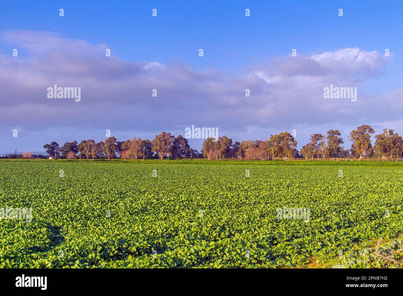 Découverte de Sidi Thabet : une ville rurale dans le nord de la Tunisie ...