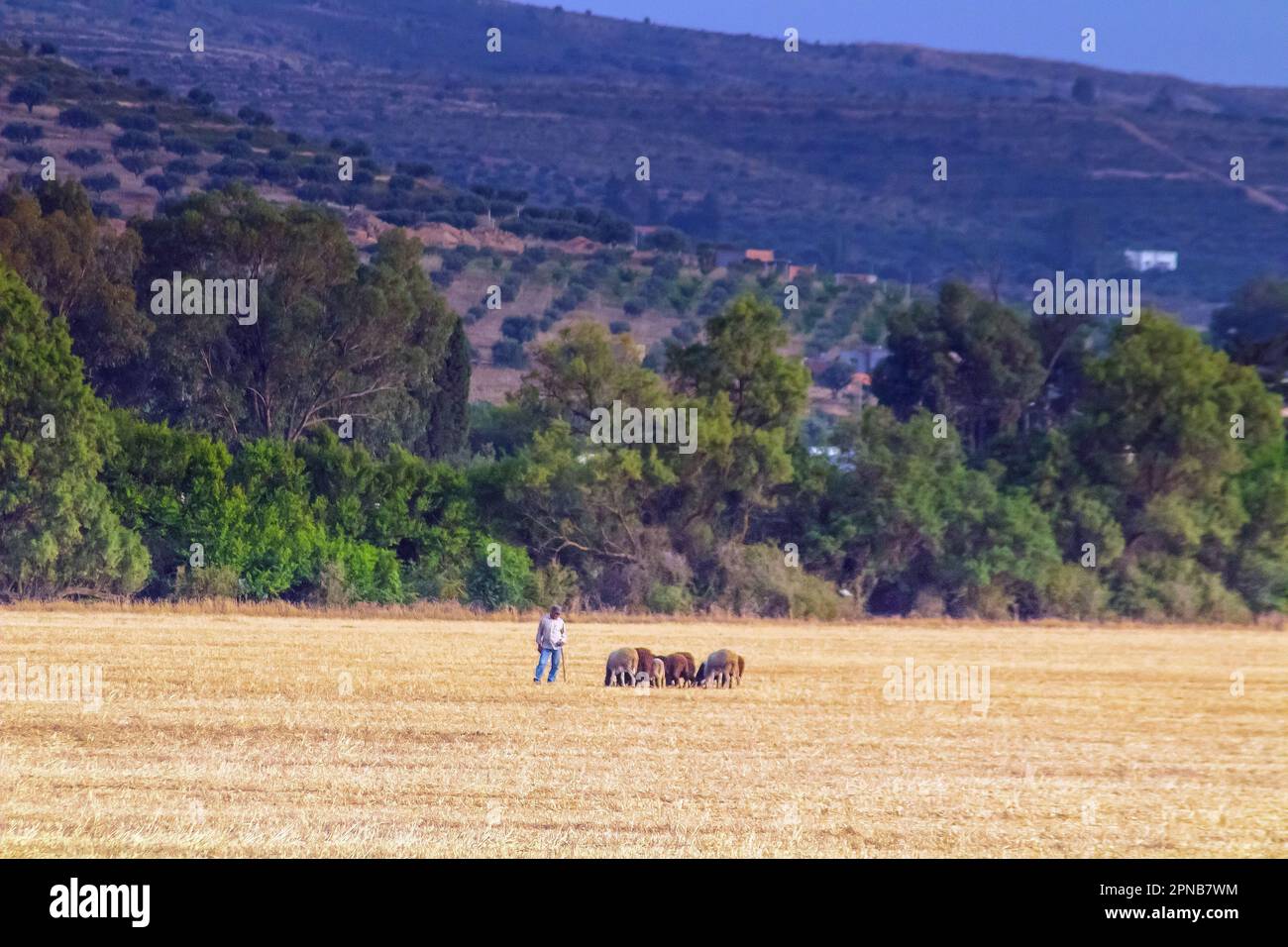 Découverte de Sidi Thabet : une ville rurale dans le nord de la Tunisie ...
