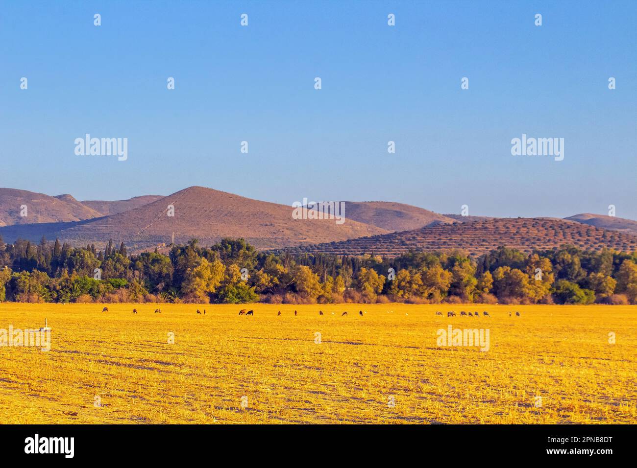 Découverte de Sidi Thabet : une ville rurale dans le nord de la Tunisie ...