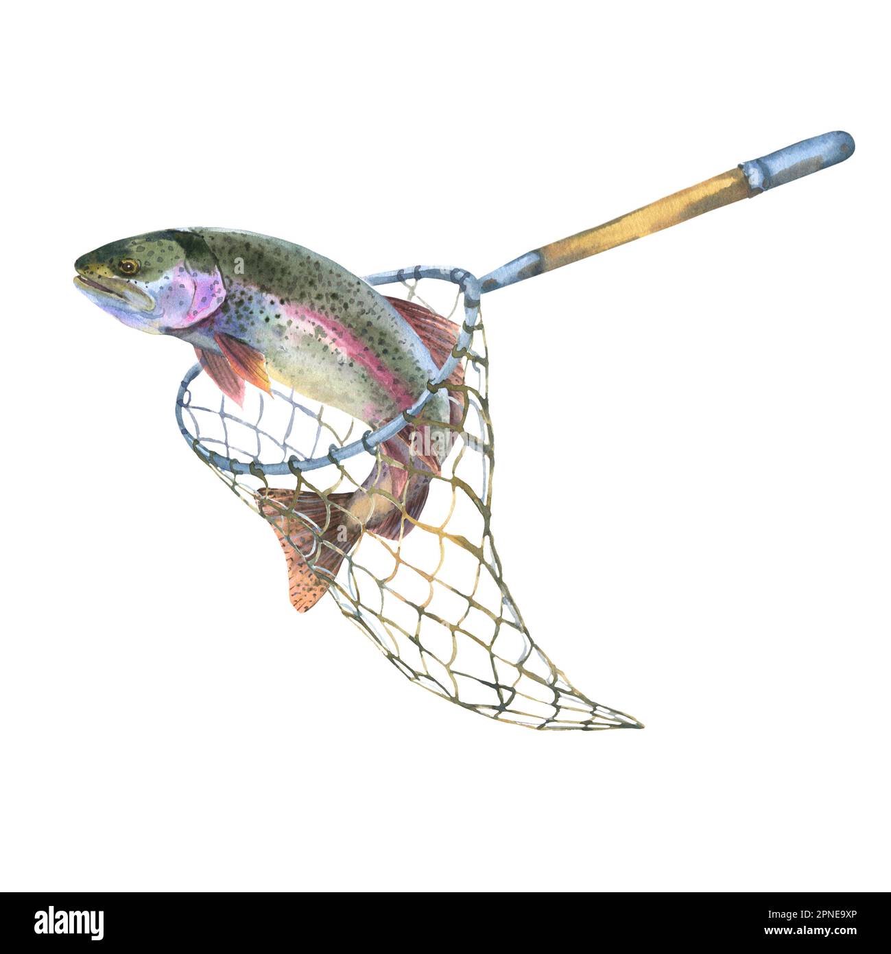 Illustration de l'aquarelle dessinée à la main, filet de pêche et ...